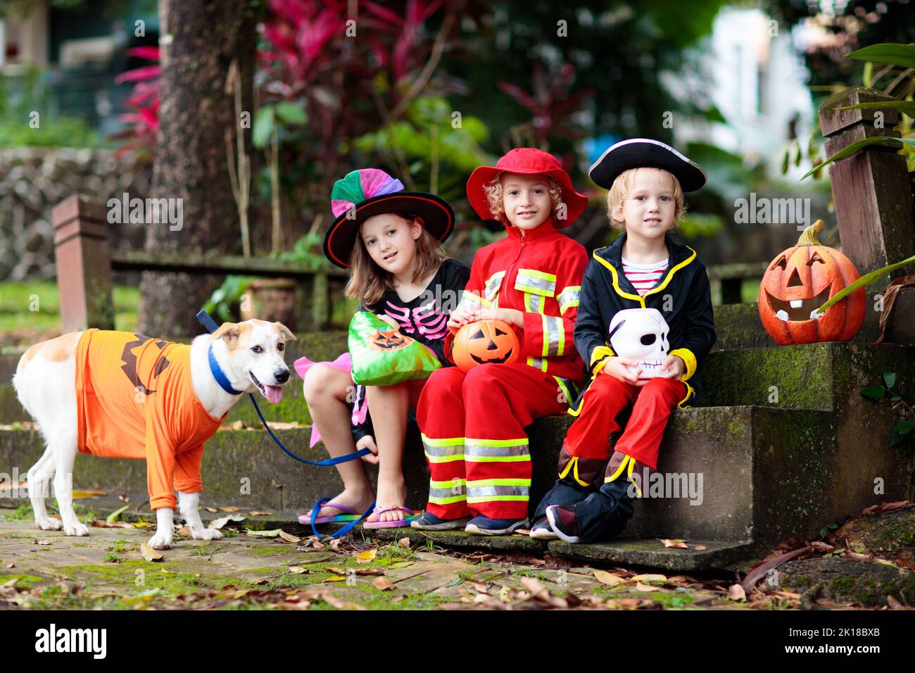 Kids trick or treat in Halloween costume. Children in colorful dress up ...