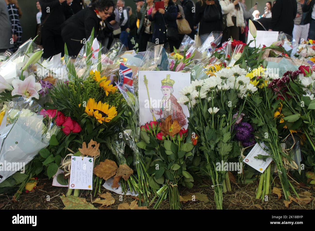 floral tributes to the queen in green park; scenes from central london ...