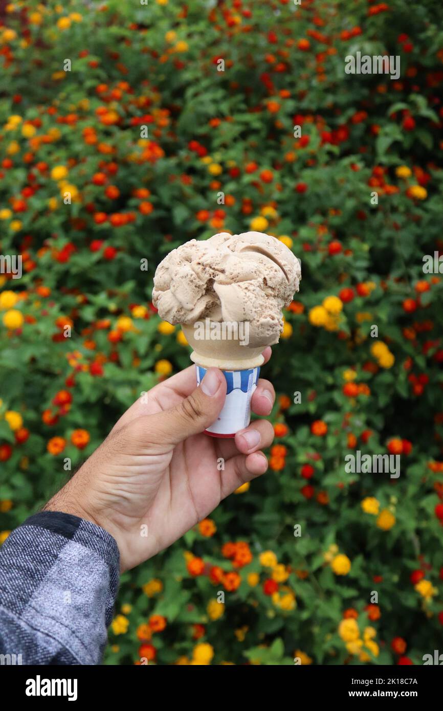 A vertical shot of a hand holding ice cream in front of flower bush ...