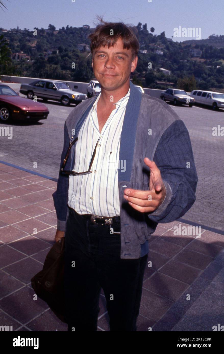 Mark Hamill 1993 Credit: Ralph Dominguez/MediaPunch Stock Photo - Alamy