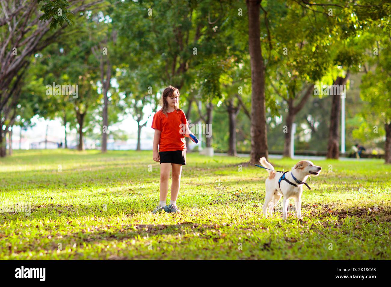 Child walking dog. Kid playing with cute puppy. Little girl running ...