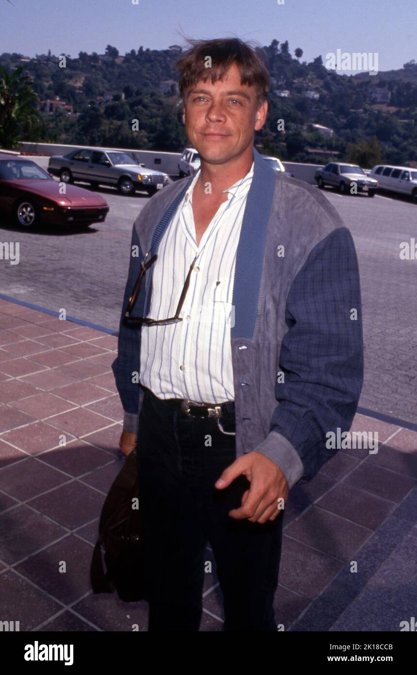 Mark Hamill 1993 Credit: Ralph Dominguez/MediaPunch Stock Photo - Alamy
