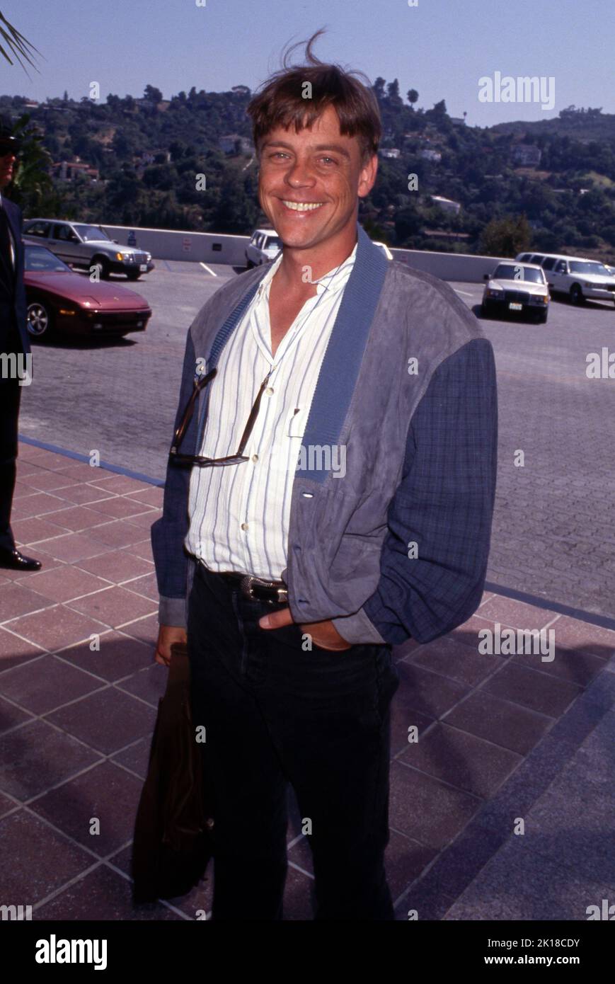 Mark Hamill 1993 Credit: Ralph Dominguez/MediaPunch Stock Photo - Alamy