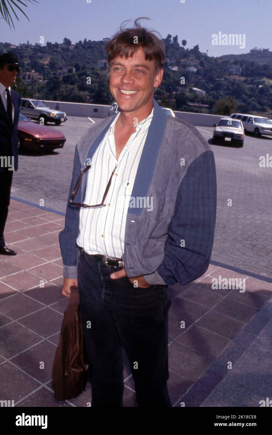 Mark Hamill 1993 Credit: Ralph Dominguez/MediaPunch Stock Photo - Alamy