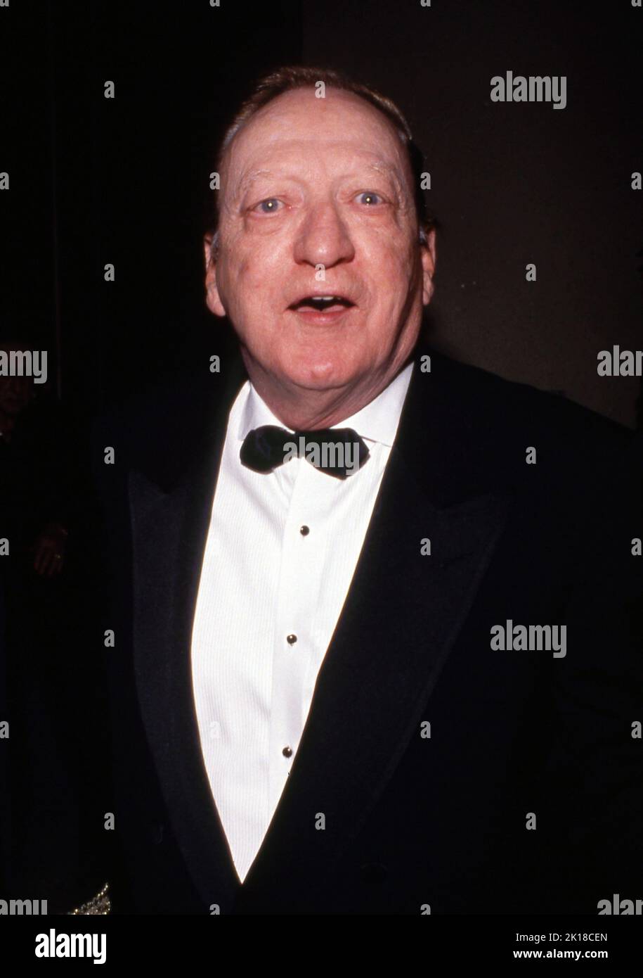 Huntz Hall January 1991 1Credit: Ralph Dominguez/MediaPunch Stock Photo - Alamy