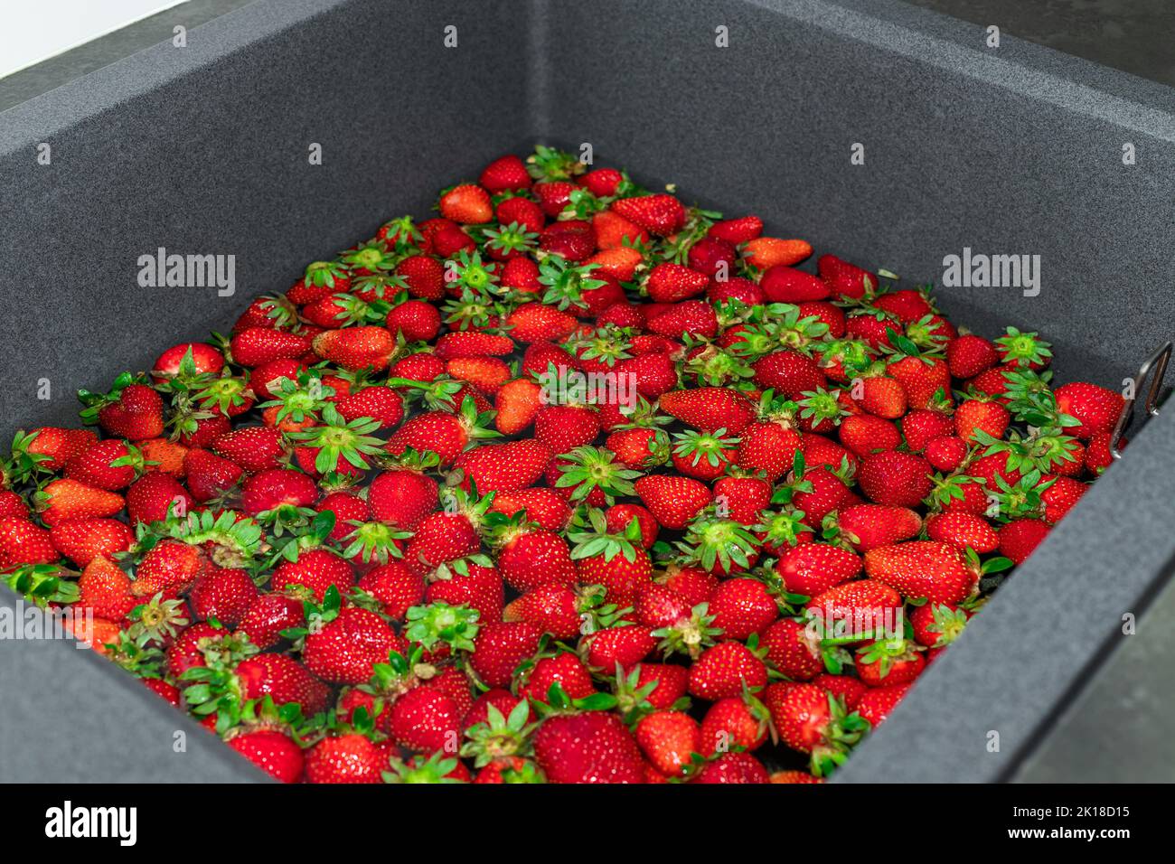 Fresh colorful strawberries in water in grey kitchen sink Stock Photo ...