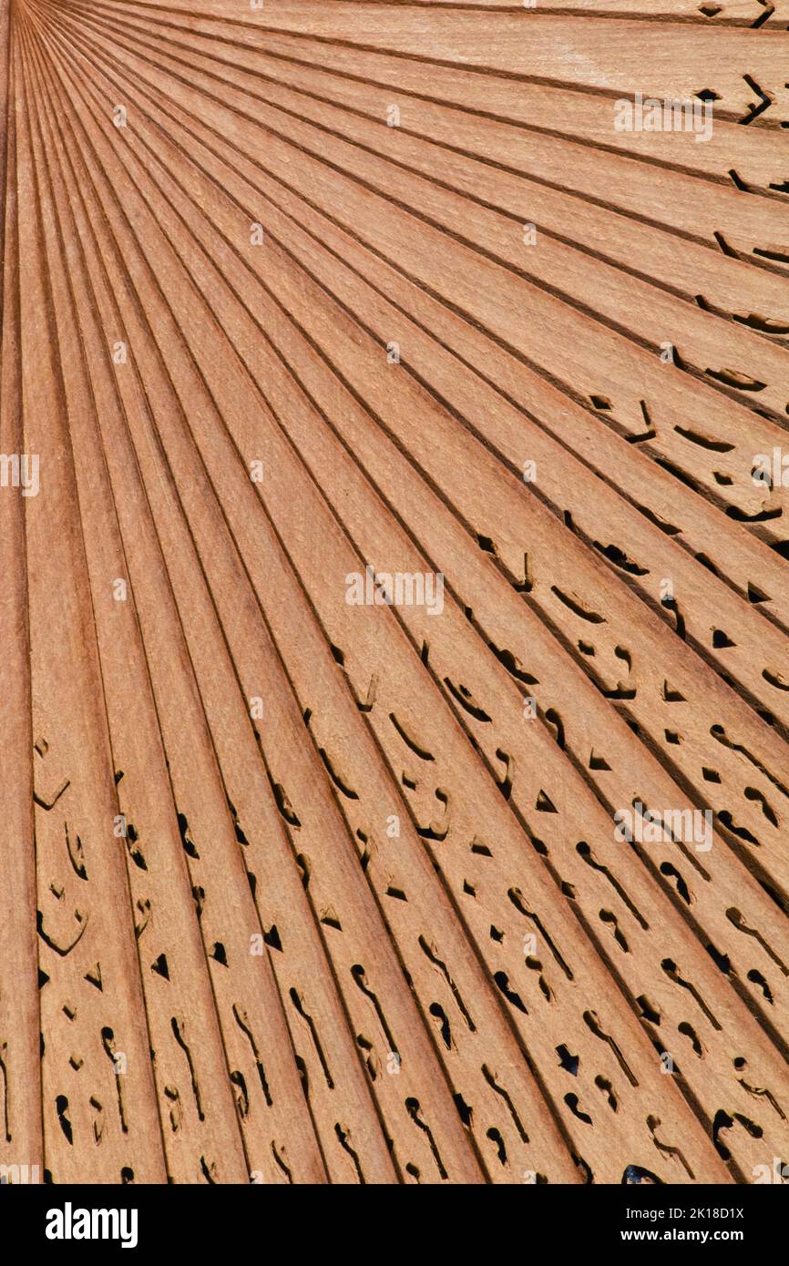 Evenly spread hi-res stock photography and images - Alamy