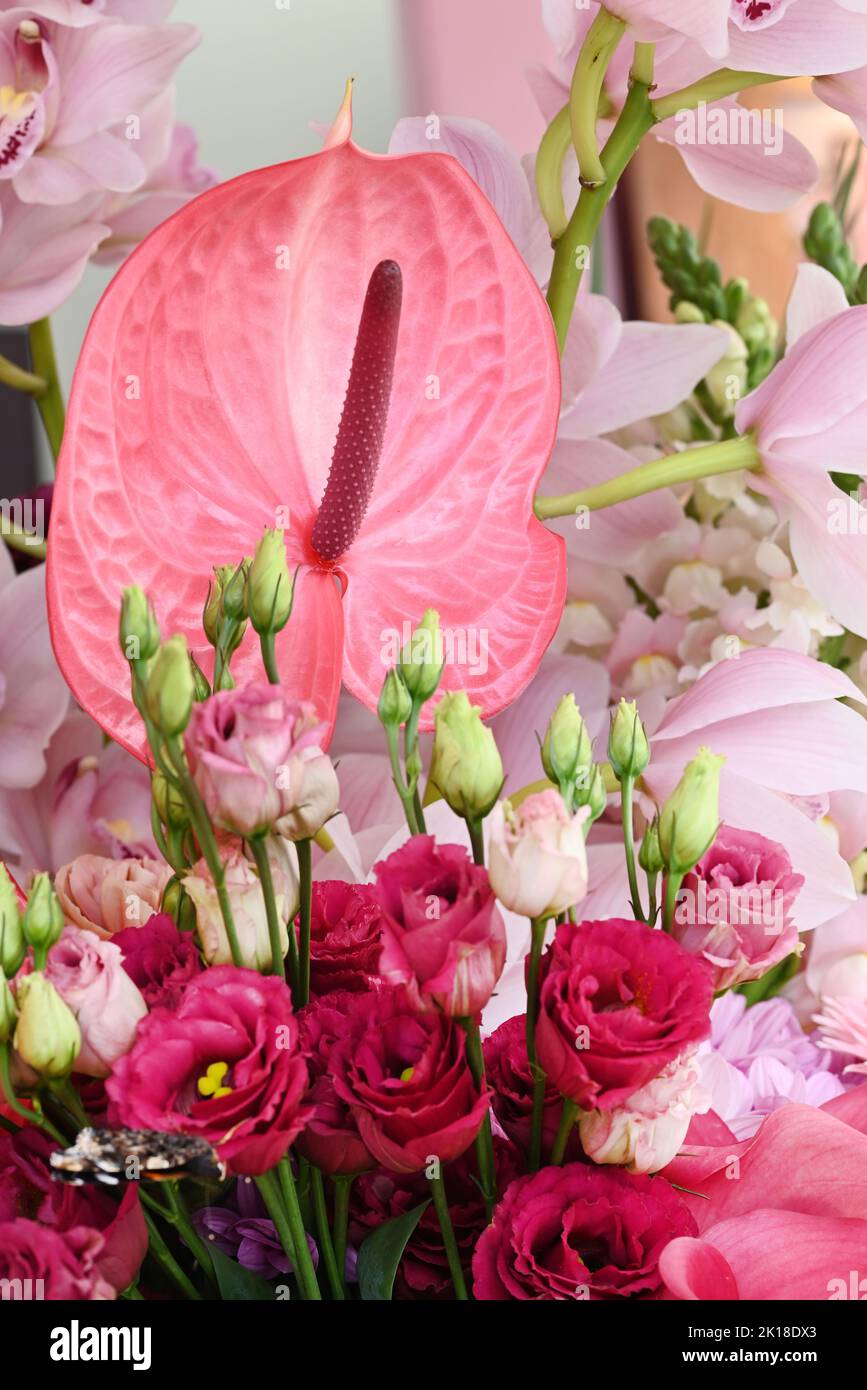 Pink Anthurium flower in a beatiful flower arrangement Stock Photo - Alamy
