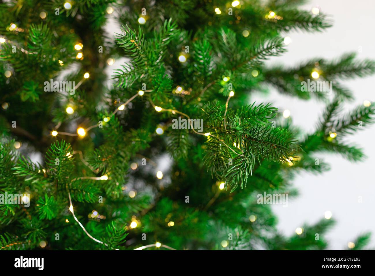 Rice tree hi-res stock photography and images - Alamy