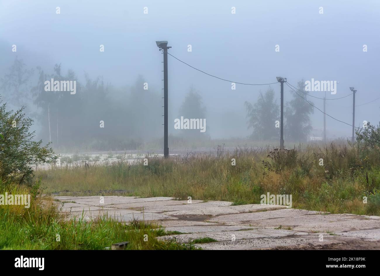 City street with trees and lawns on a foggy morning Stock Photo - Alamy