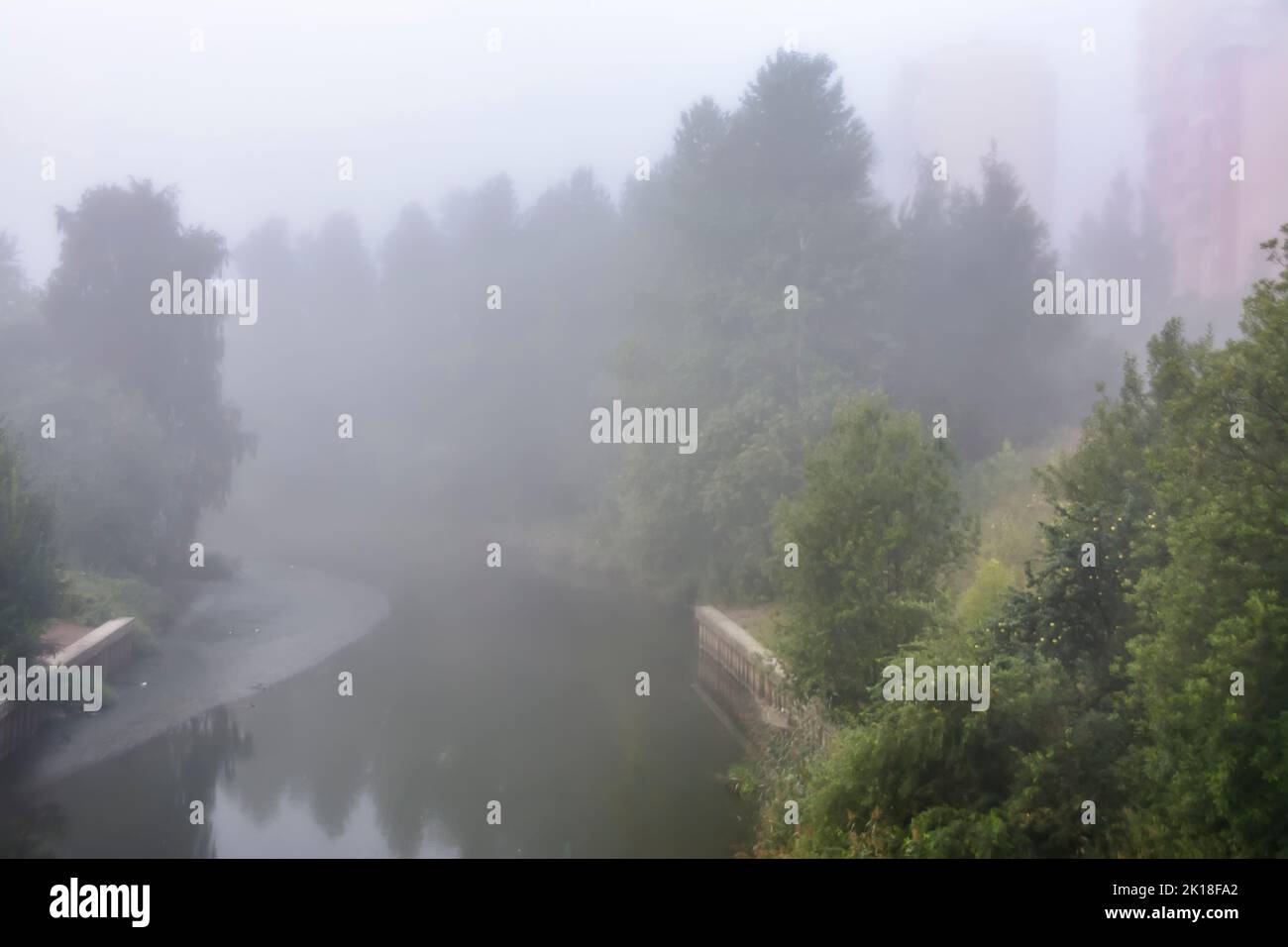 City street with trees and lawns on a foggy morning Stock Photo - Alamy