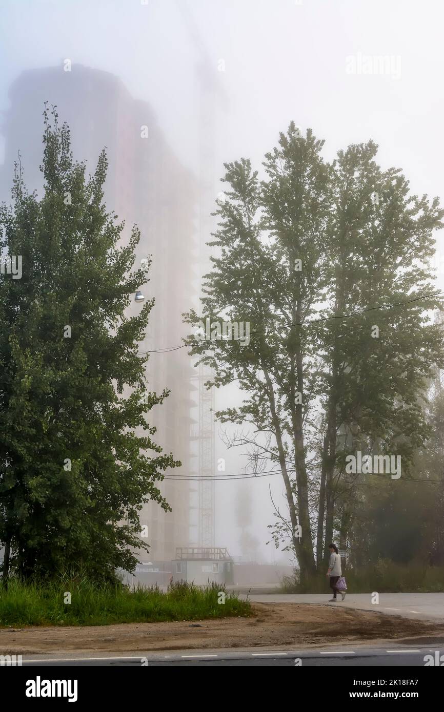 City street with trees and lawns on a foggy morning Stock Photo - Alamy