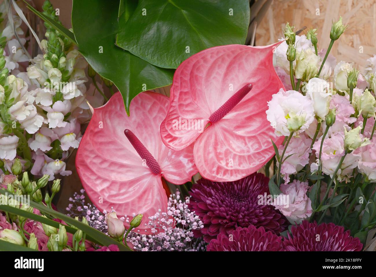 Pink Anthurium flower in a beatiful flower arrangement Stock Photo - Alamy