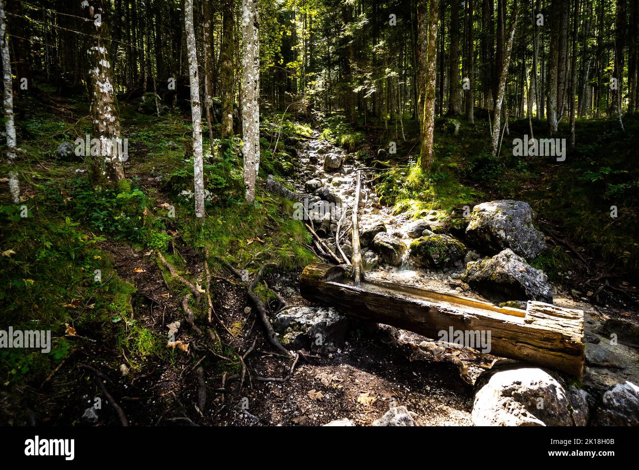Wooden water trough in the alps hi-res stock photography and images - Alamy
