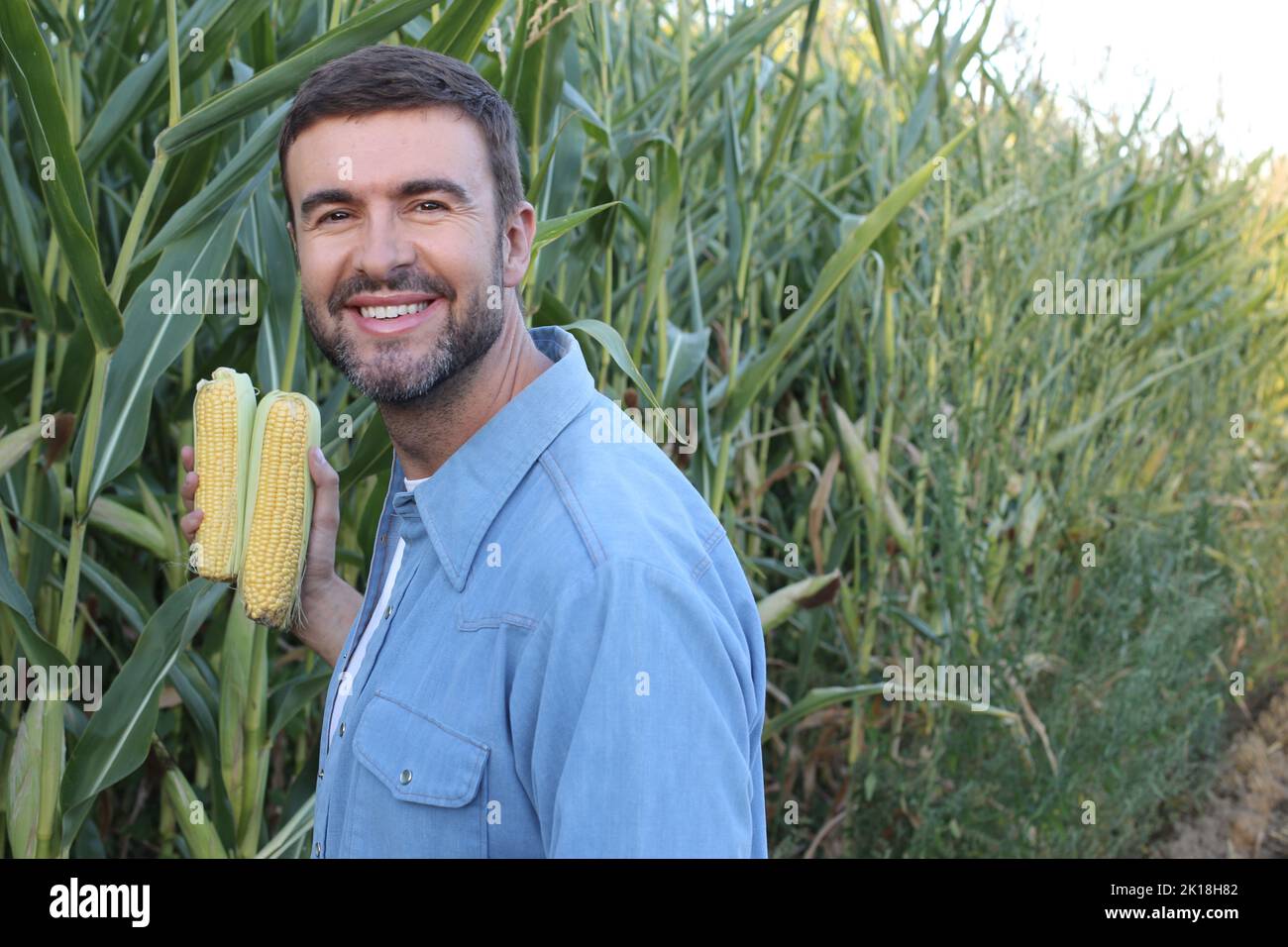 Farmer in beautiful corn fields Stock Photo - Alamy