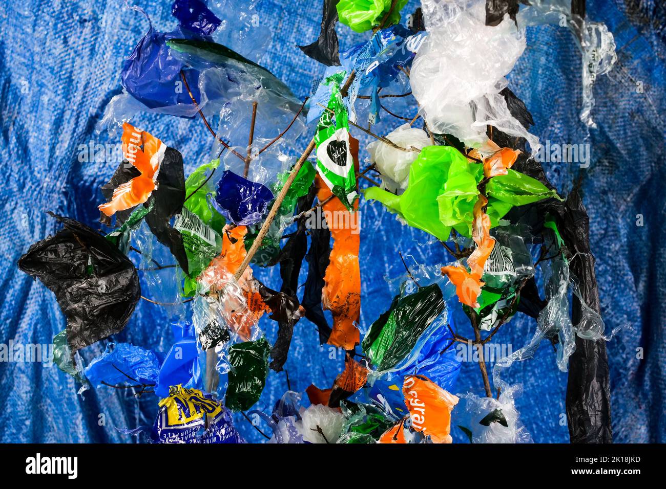 Plastic wrapped tree, conceptual studio photography, Lyon, France Stock ...