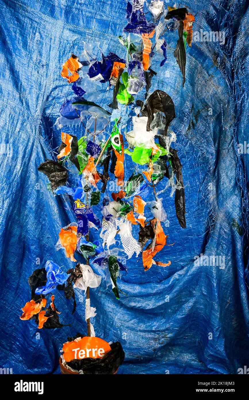 Plastic wrapped tree, conceptual studio photography, Lyon, France Stock ...