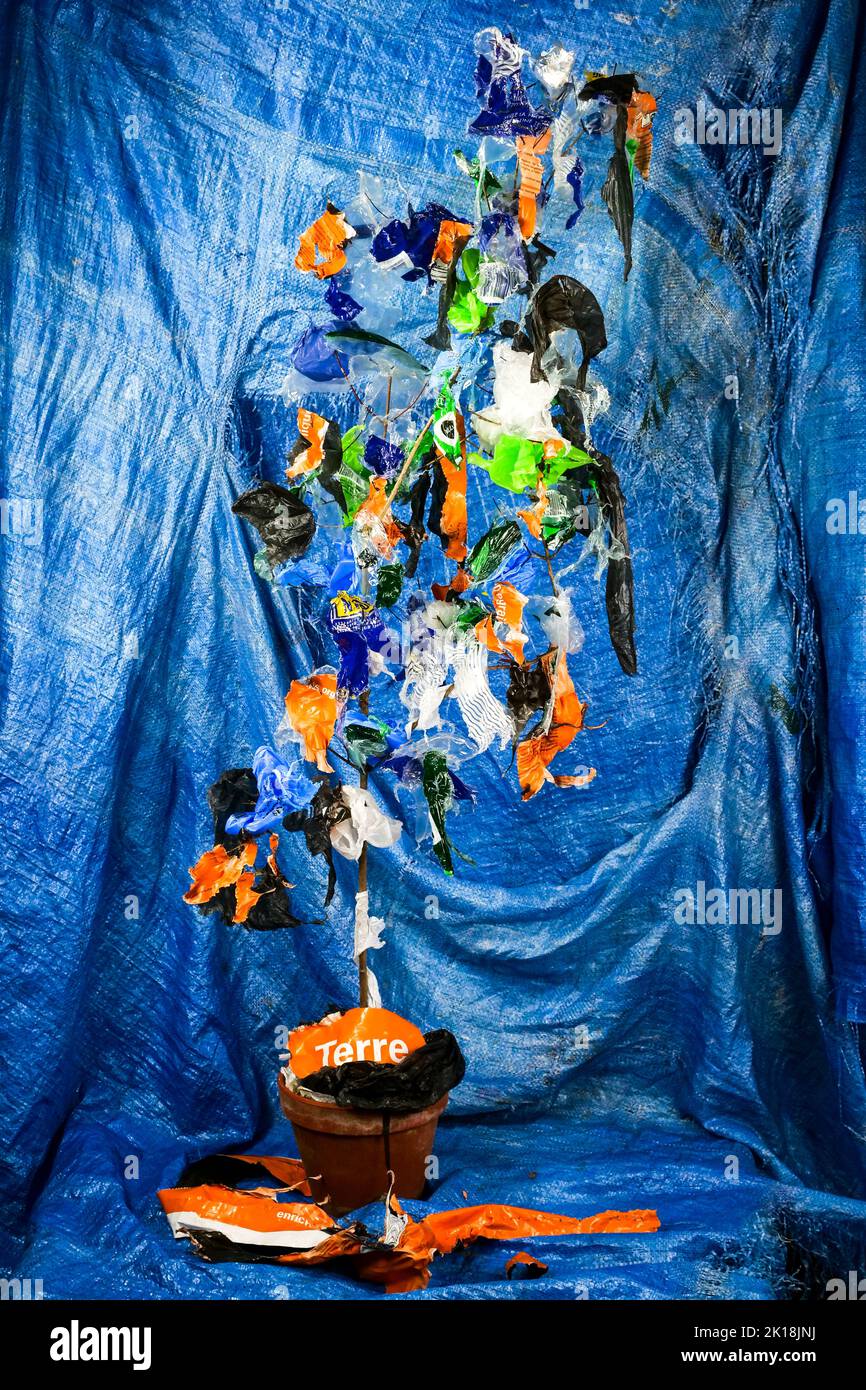 Plastic wrapped tree, conceptual studio photography, Lyon, France Stock ...
