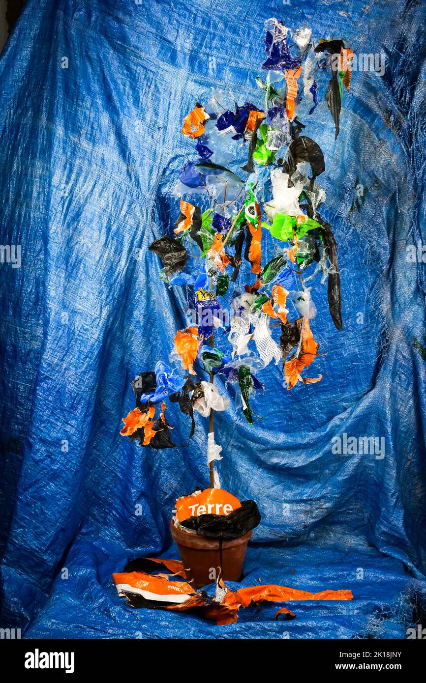 Plastic wrapped tree, conceptual studio photography, Lyon, France Stock ...