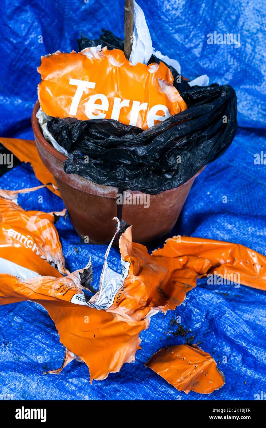 Plastic wrapped plant pot, conceptual studio photography, Lyon, France ...