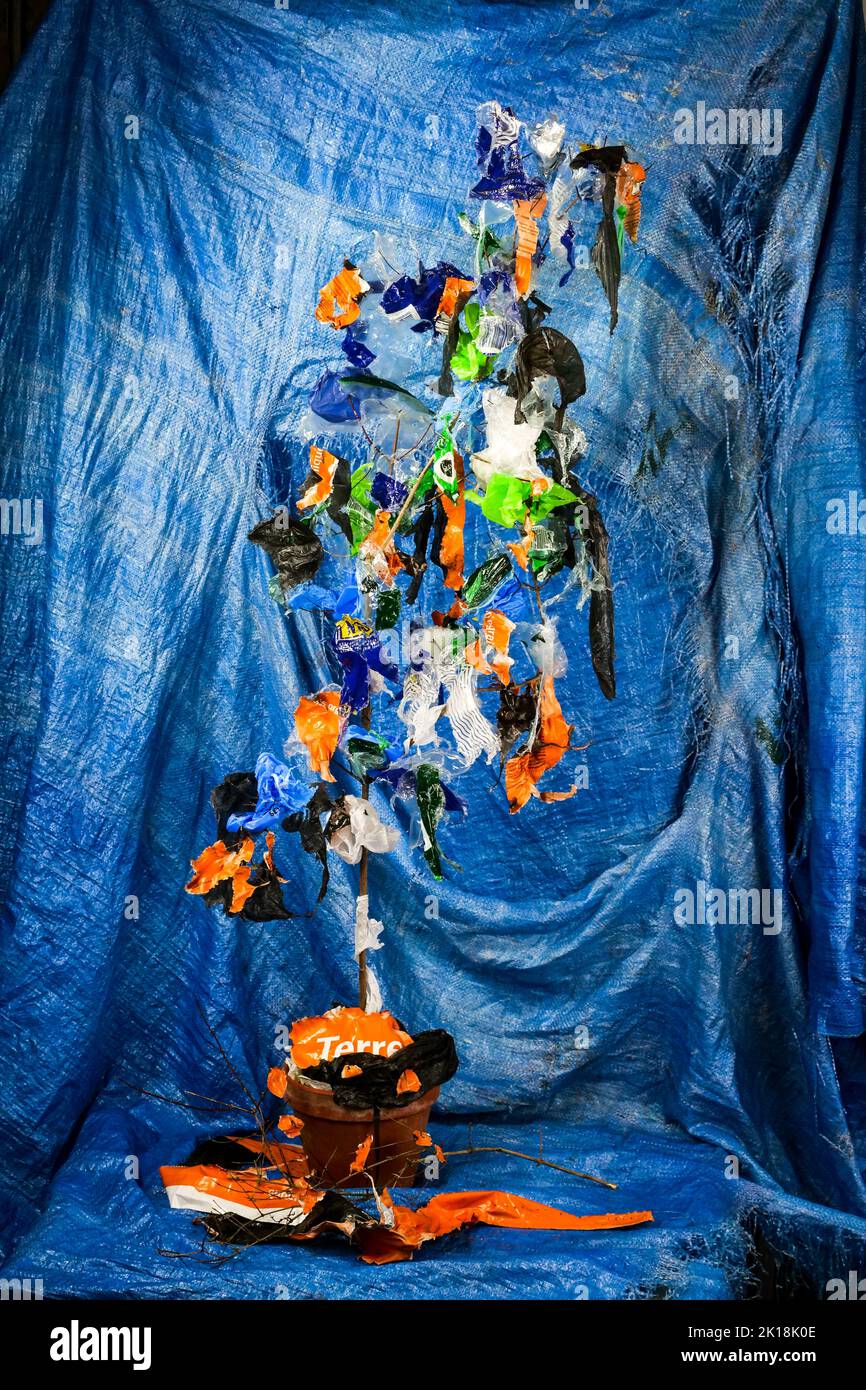 Plastic wrapped tree, conceptual studio photography, Lyon, France Stock ...