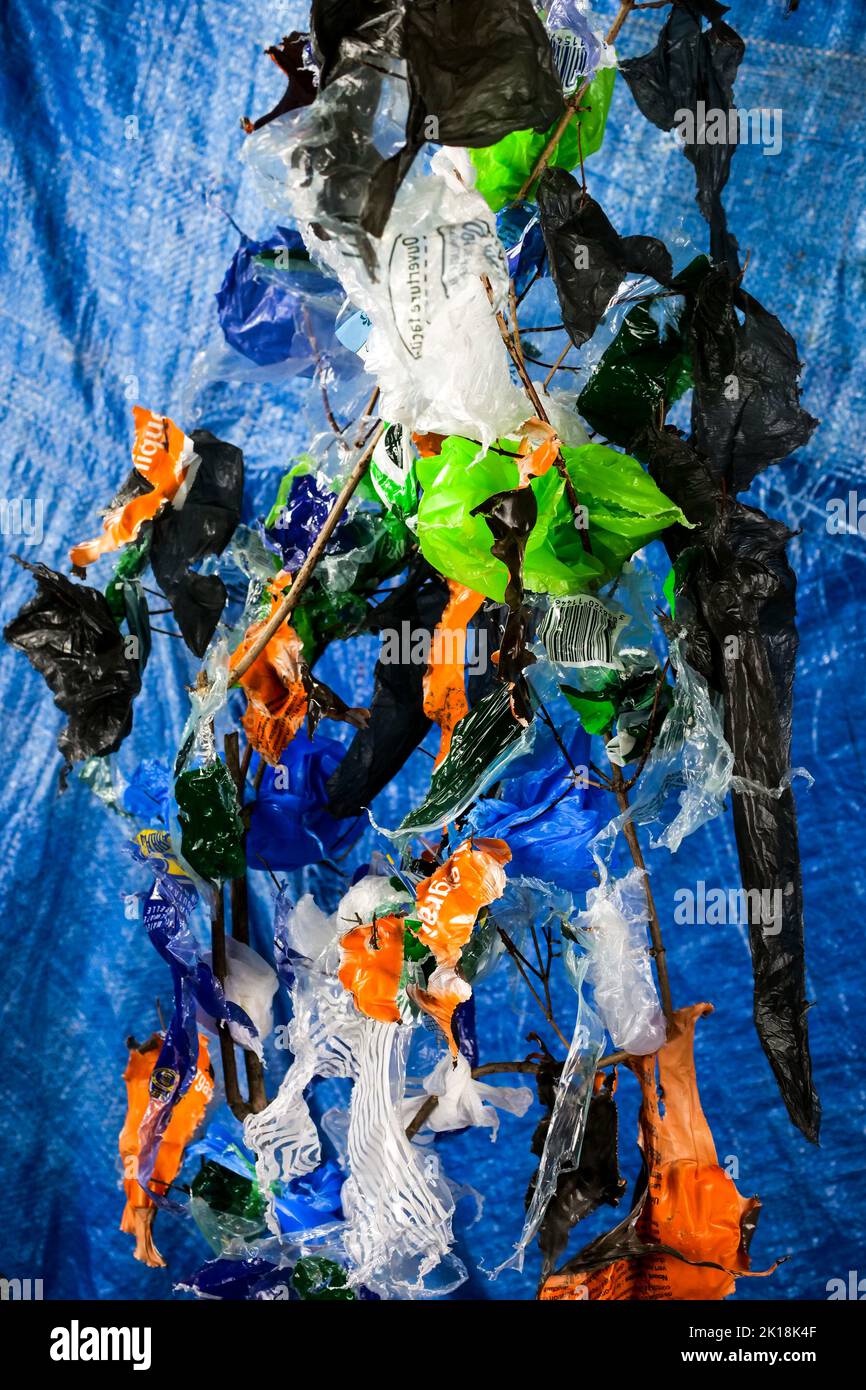 Plastic wrapped tree, conceptual studio photography, Lyon, France Stock ...