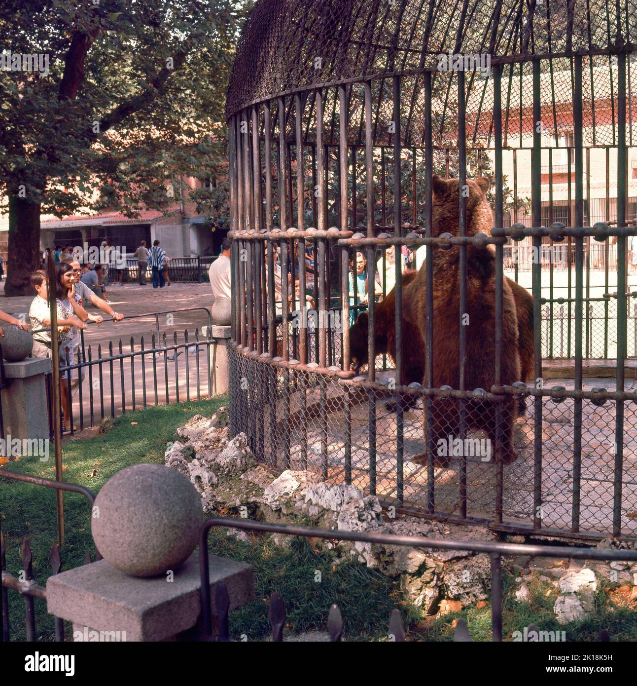 OSO BLANCO EN EL ANTIGUO ZOOLOGICO SITUADO EN EL RETIRO. Location ...