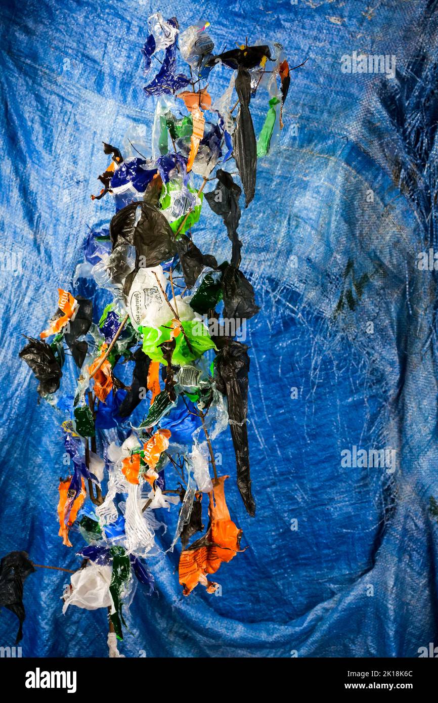 Plastic wrapped tree, conceptual studio photography, Lyon, France Stock ...