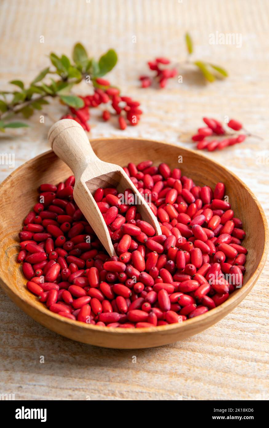 Pile of Berberis vulgaris also known as common barberry, European ...
