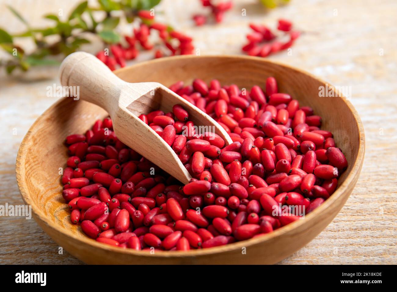 Pile of Berberis vulgaris also known as common barberry, European ...