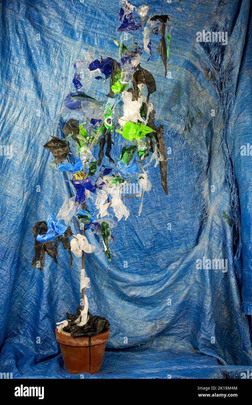 Plastic wrapped tree, conceptual studio photography, Lyon, France Stock ...