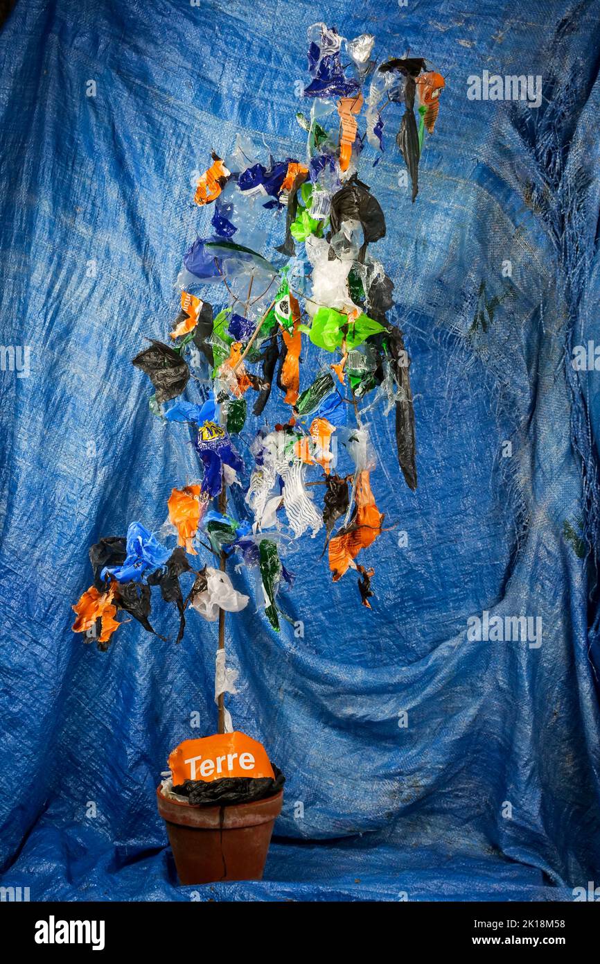 Plastic wrapped tree, conceptual studio photography, Lyon, France Stock ...