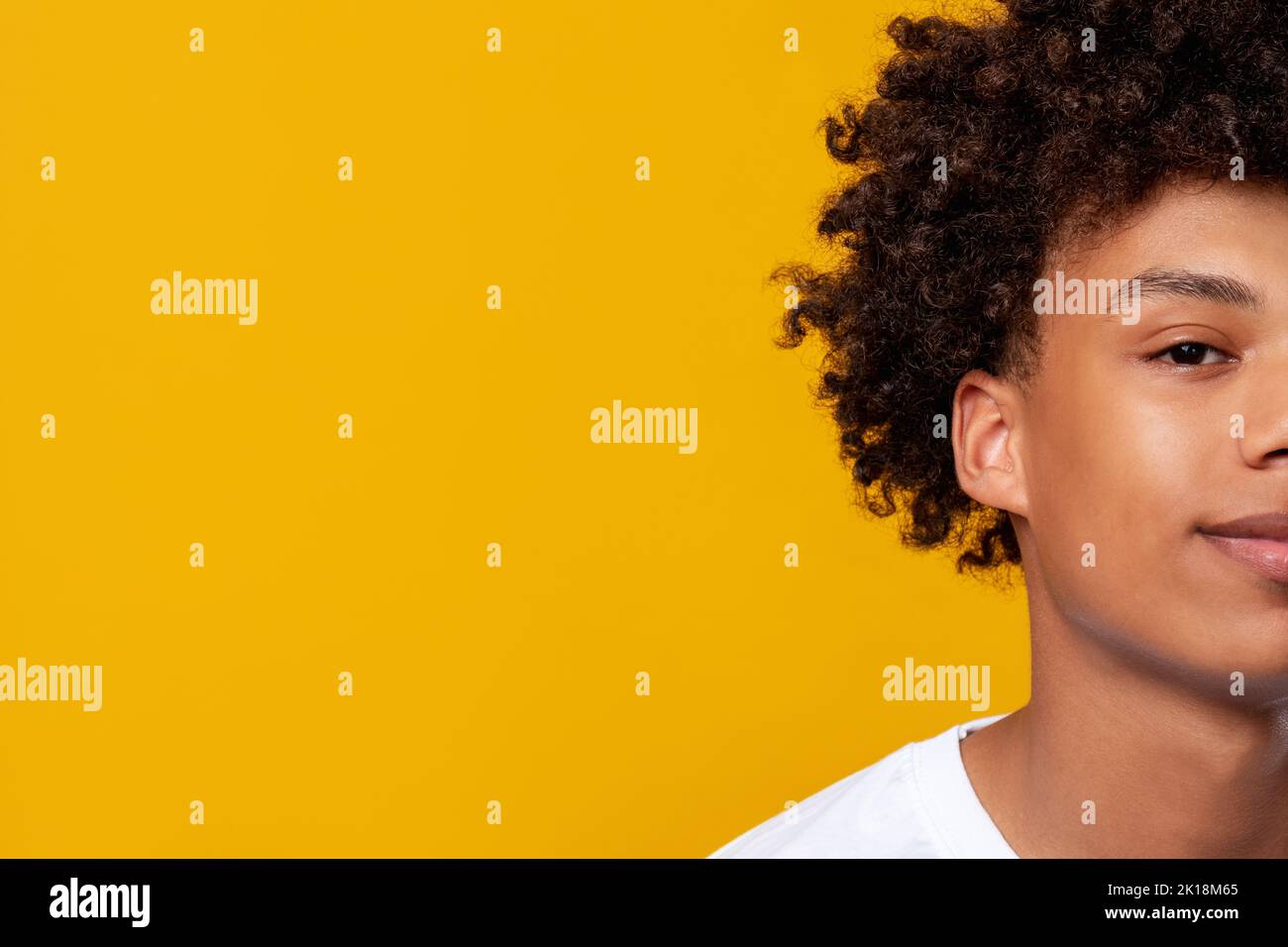 Black teenager portrait. Ethnic tolerance. Smiling young african guy ...