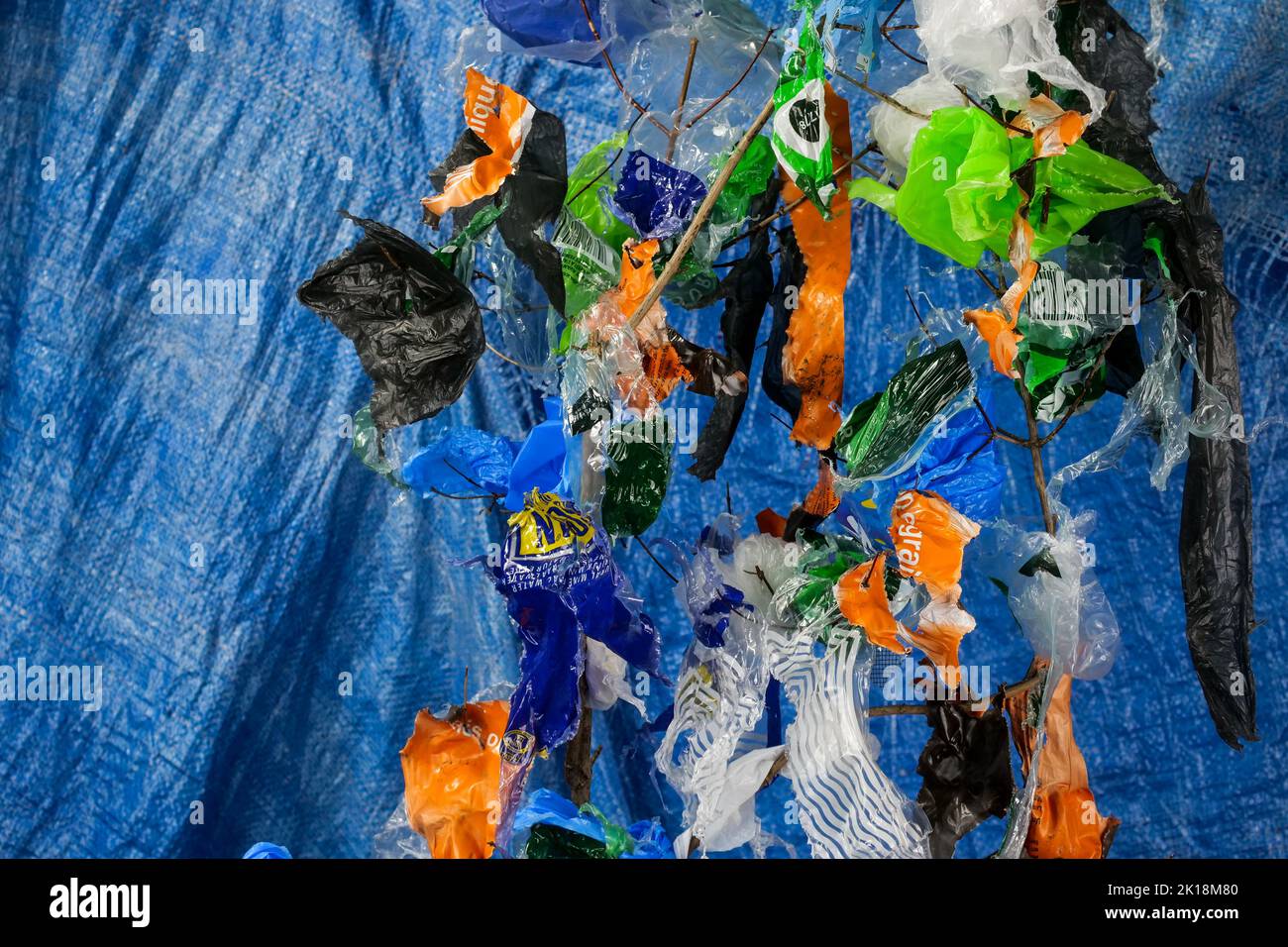 Plastic wrapped tree, conceptual studio photography, Lyon, France Stock ...