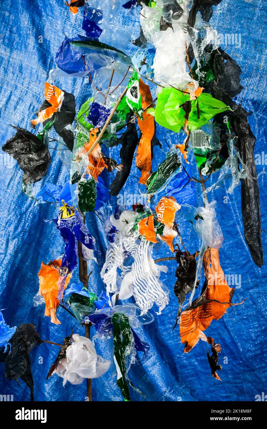 Plastic wrapped tree, conceptual studio photography, Lyon, France Stock ...