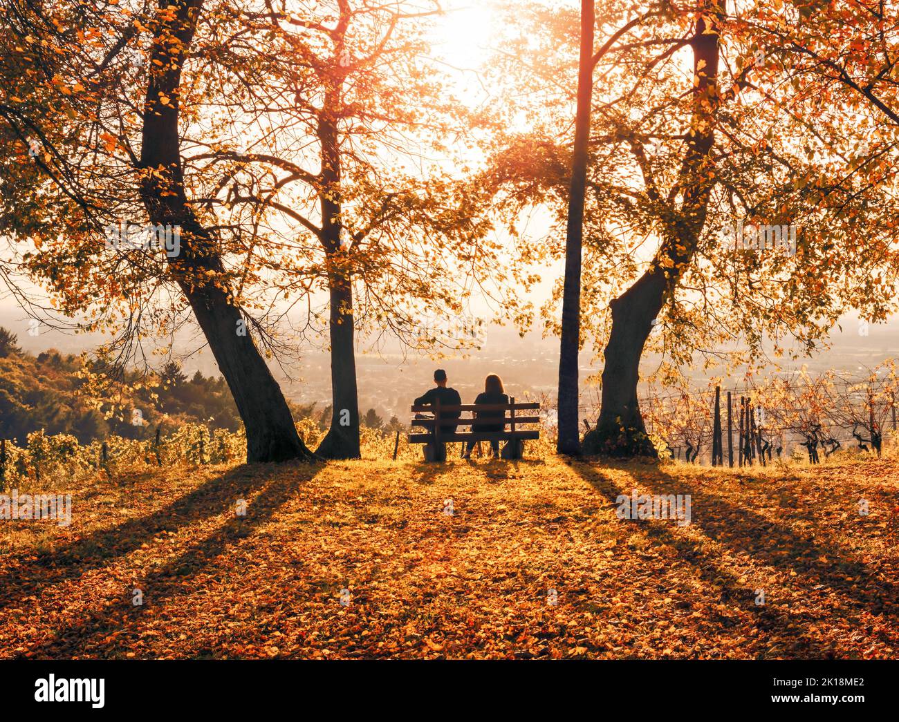 Silhouettes of two people sitting on a bench under trees and enjoying a ...