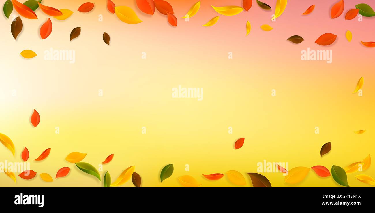 Falling autumn leaves. Red, yellow, green, brown chaotic leaves flying ...
