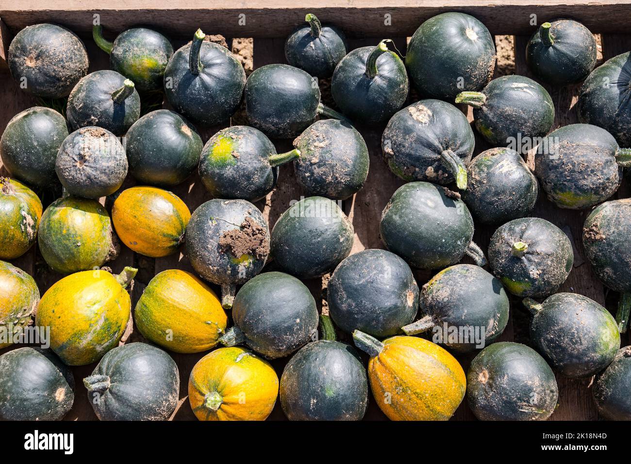 Gem varieties hi-res stock photography and images - Alamy