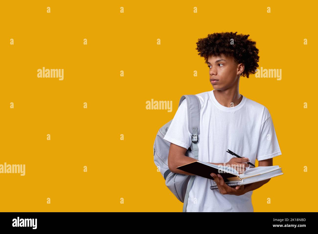 Smart black teenager. Student lifestyle. Young african male writing in ...