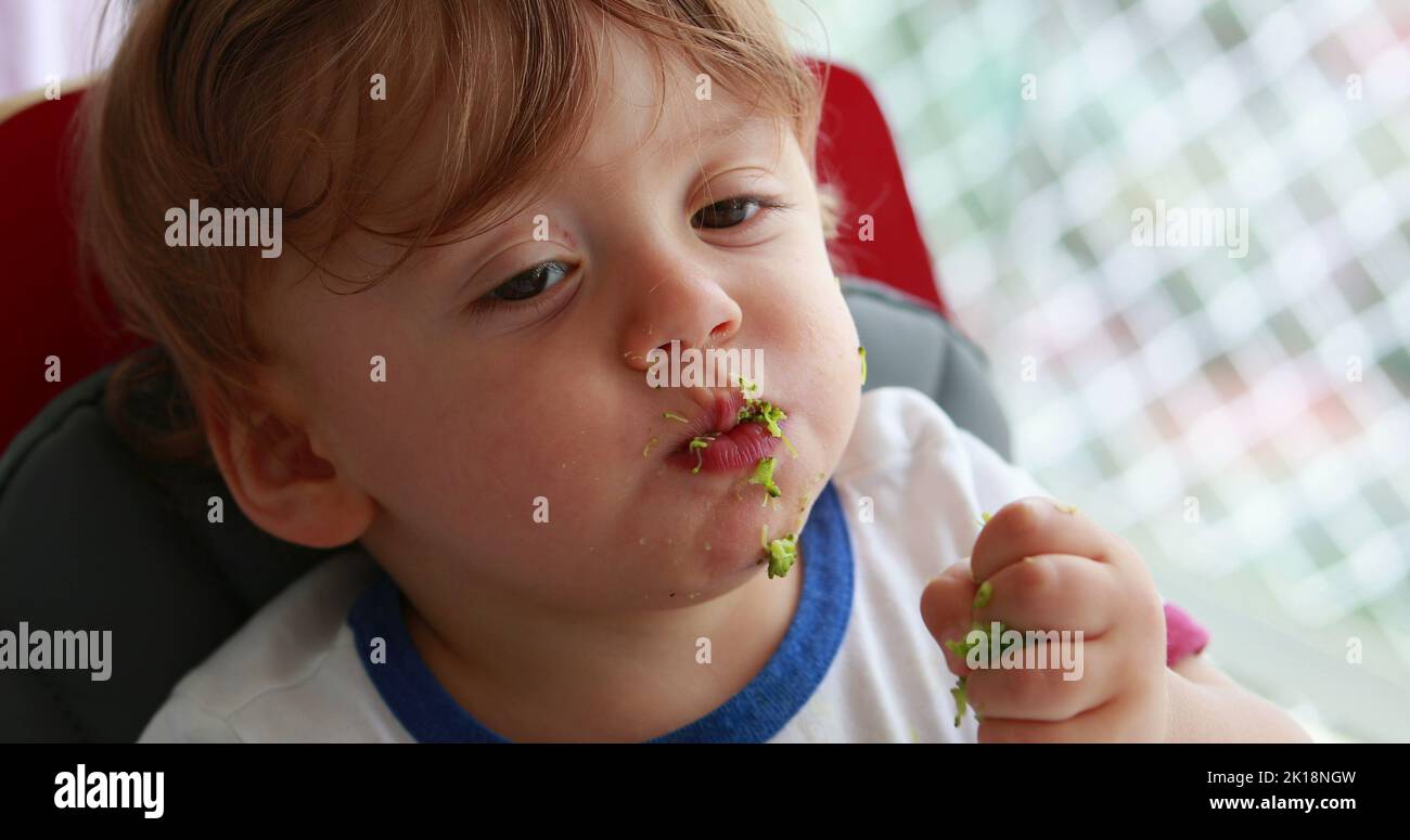 Baby eating blueberries sitting on sofa. Infant one year old toddler ...