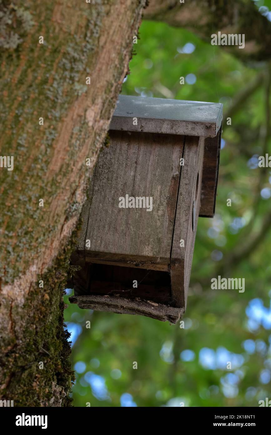 Close Up Damaged Bird House At Amsterdam The Netherlands 15-9-2022 ...