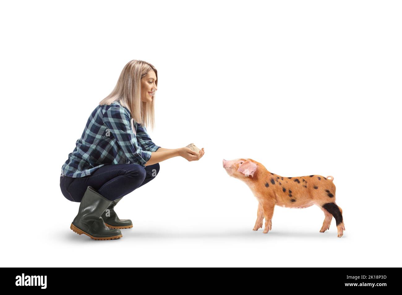 Feed feeding eat eating Cut Out Stock Images & Pictures - Alamy