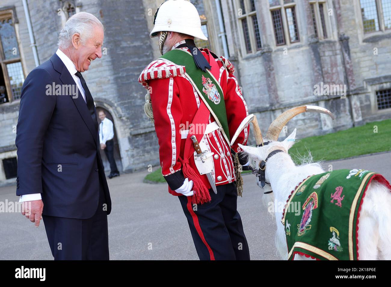 King Charles III meets Sheinkin IV, goat mascot for the Royal Welsh ...