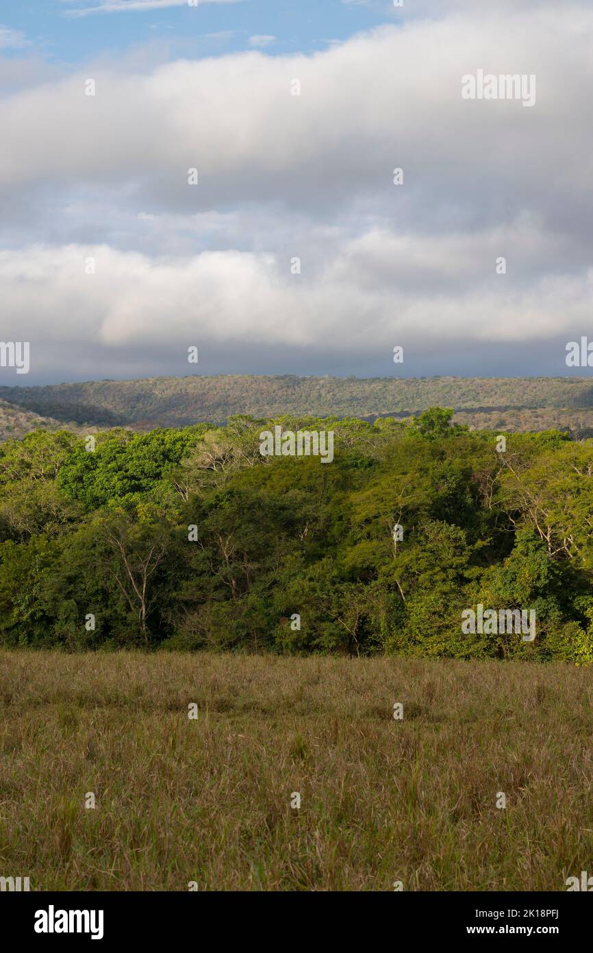 View of the landscape with forest and hills near Baiazinha Lodge in the ...