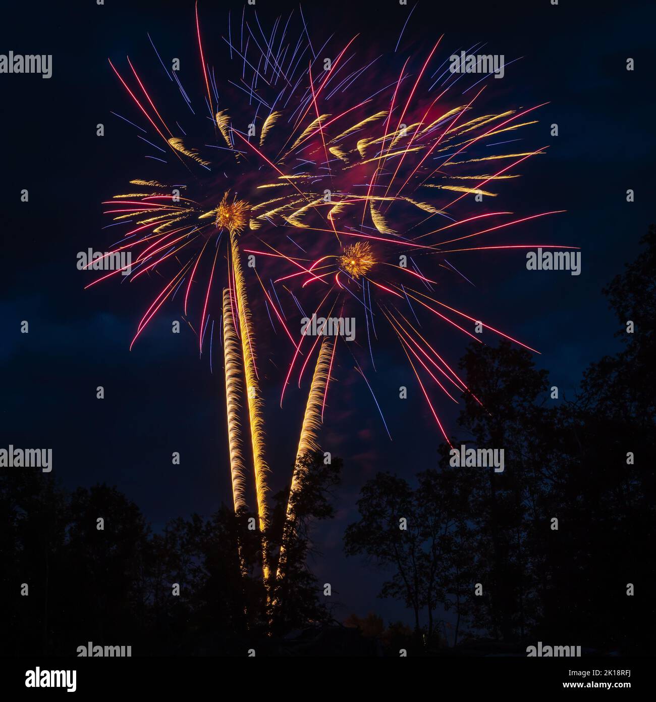 Yellow, purple and blue fireworks exploding over trees in the sky ...