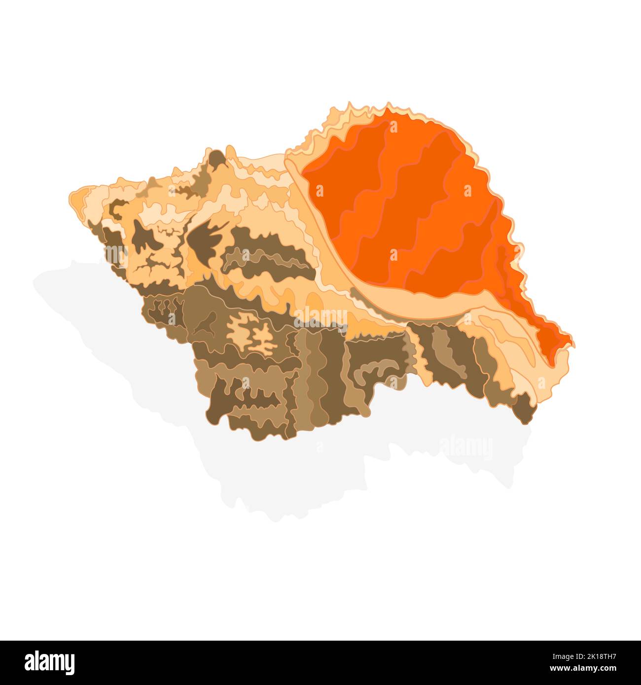 Marine life environment Stock Vector Images - Alamy