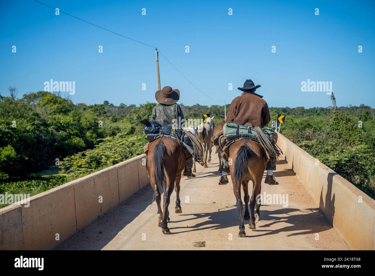 Pantaneiros (Brazilian cowboys) on horseback on the Transpantaneira ...