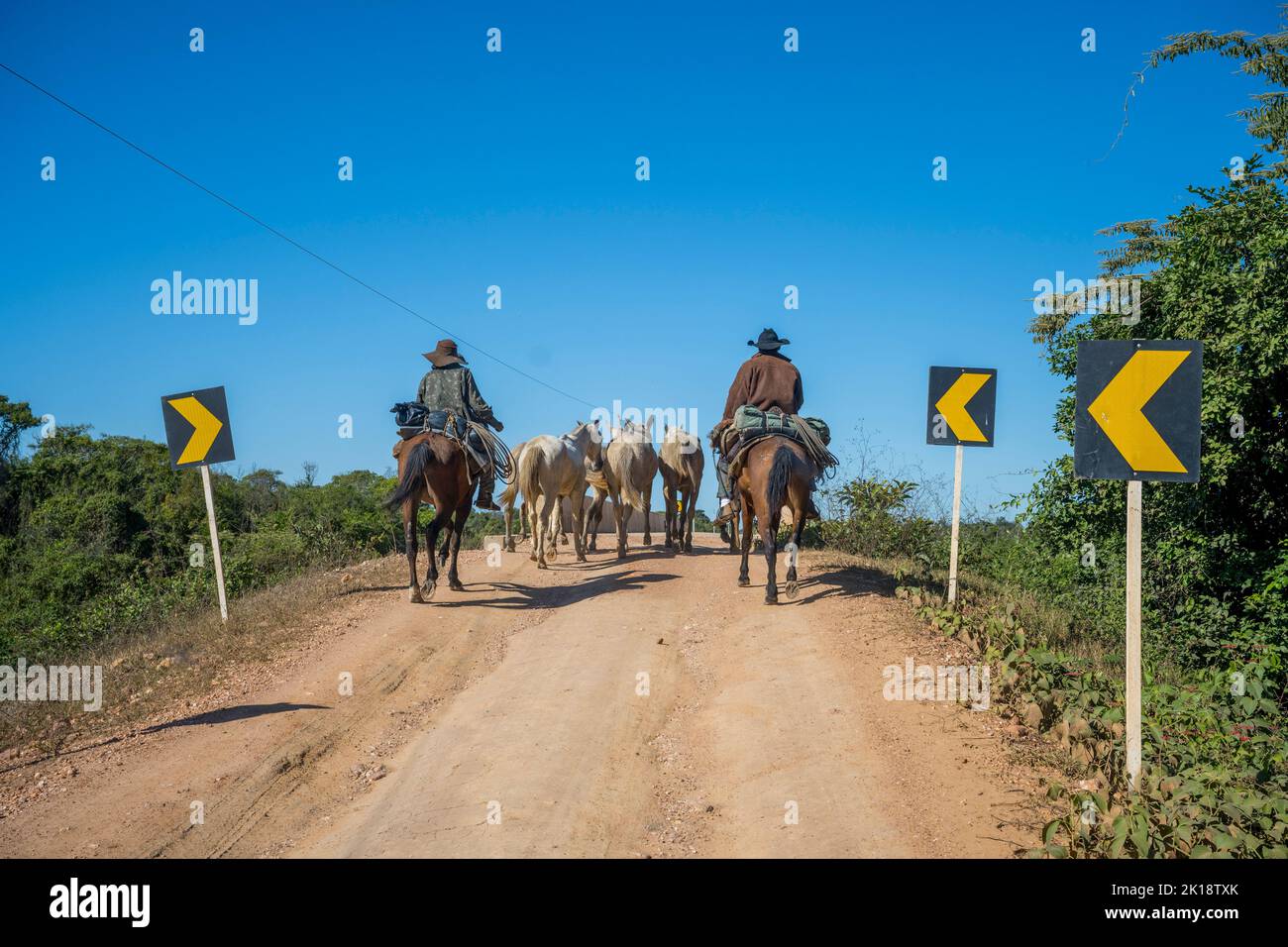 Pantaneiros (Brazilian cowboys) on horseback on the Transpantaneira ...
