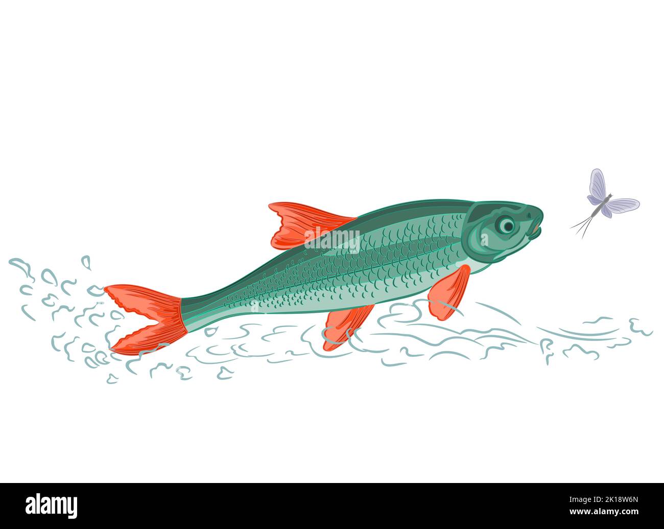 Red bait vector fish Cut Out Stock Images & Pictures - Alamy