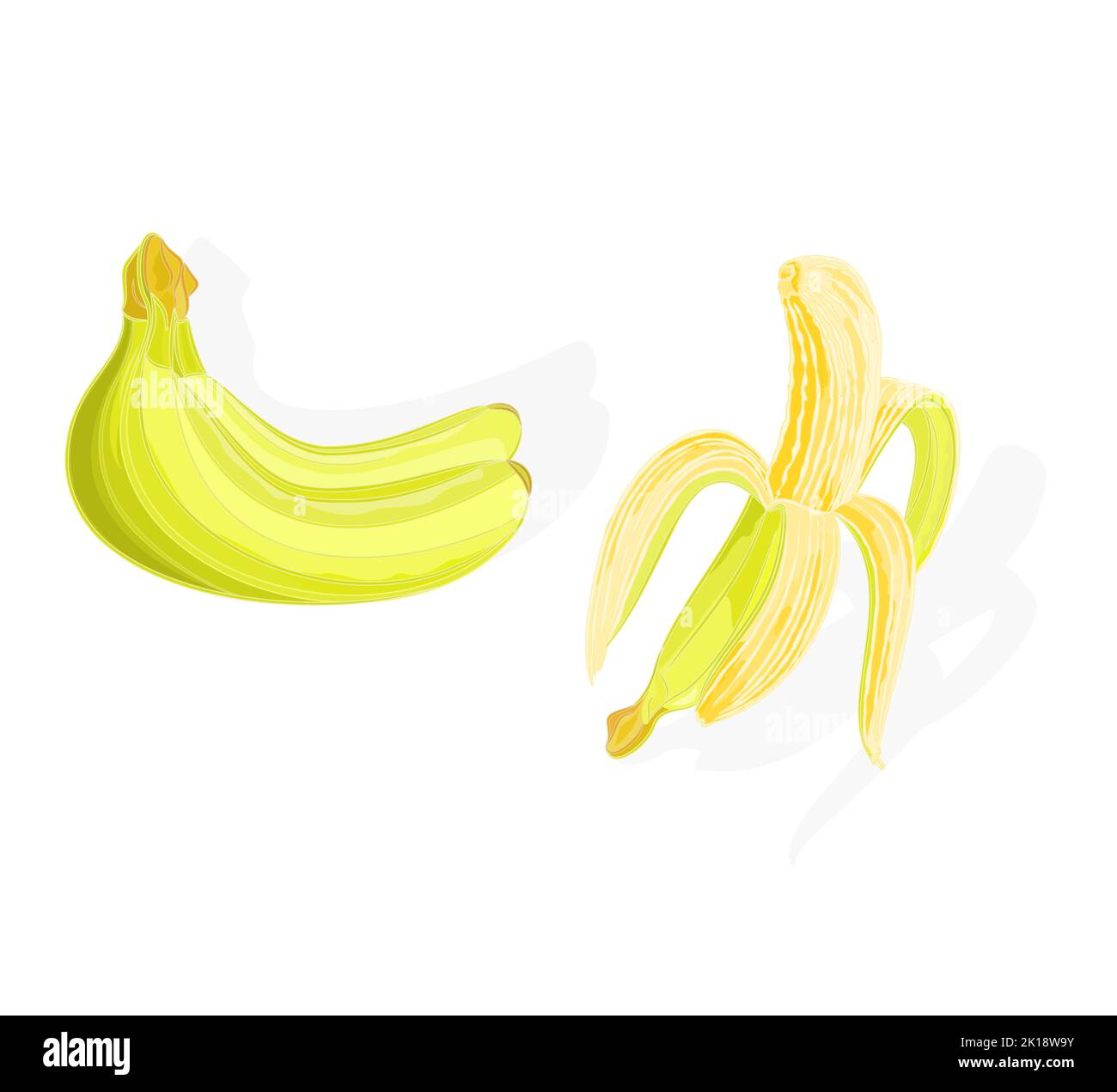 Three bananas and one half-the peeled health nutrition vector illustration Stock Vector Image ...